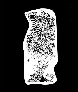 HammAirArt Organic Texture Stencil – Skin Like A | Foxy Studio